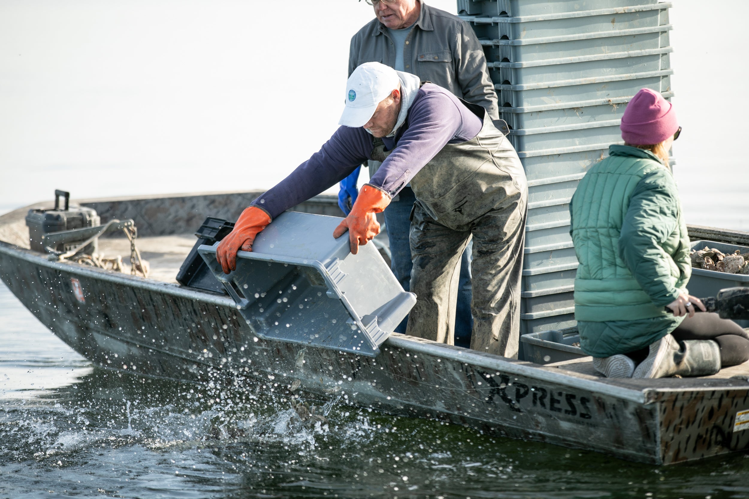 COASTAL Project - Year 1 Reef Planting – Jetty Rock Foundation