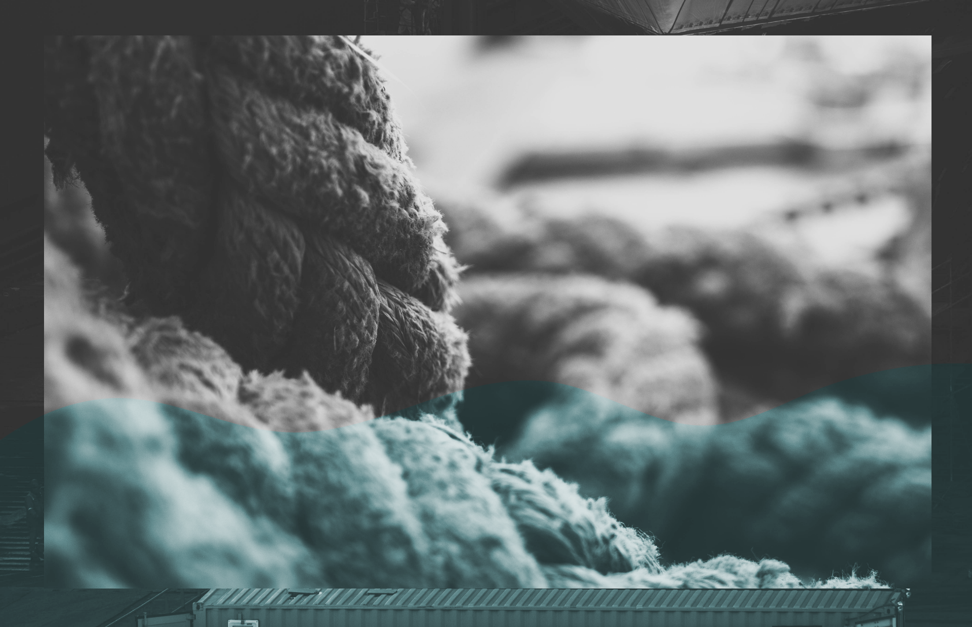 Jetty Rock Foundation