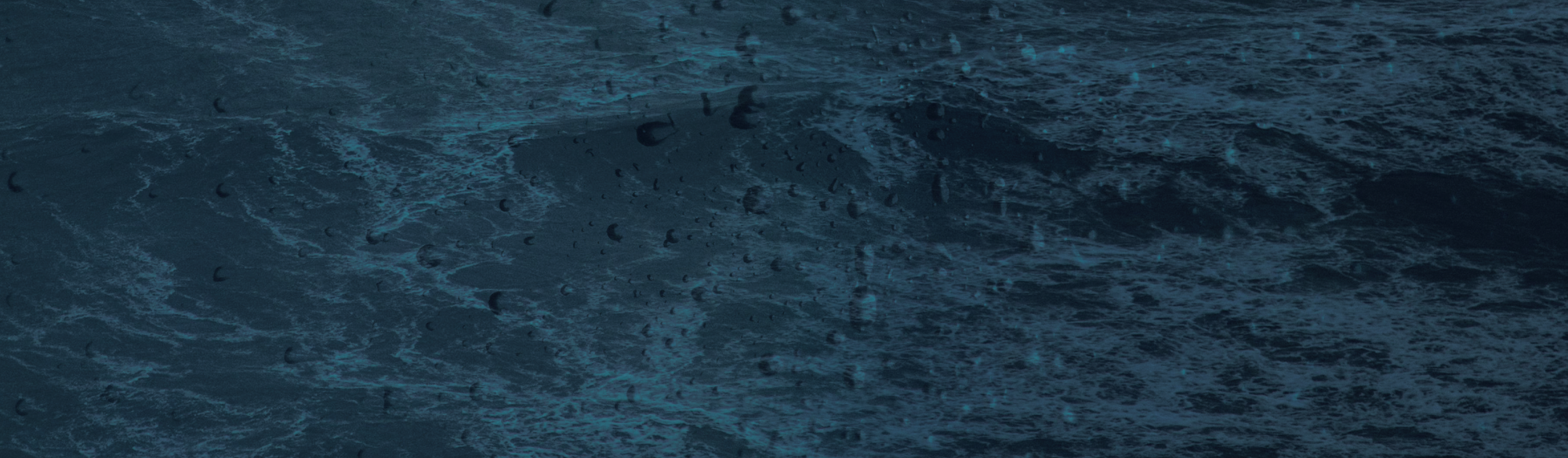 Jetty Rock Foundation